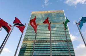WHAT IS ECOSOC AND CONSULTATIVE STATUS? | StopTheKinseyInstitute.org
